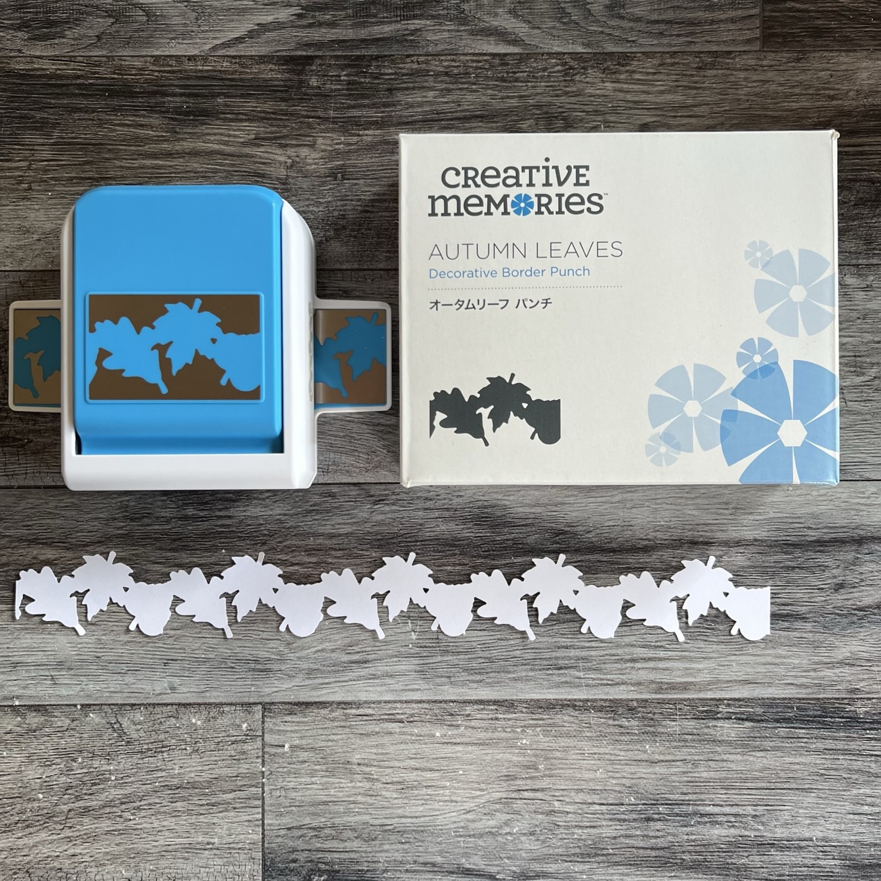 Dazzle Border Punch – Tessa Scrapbooks