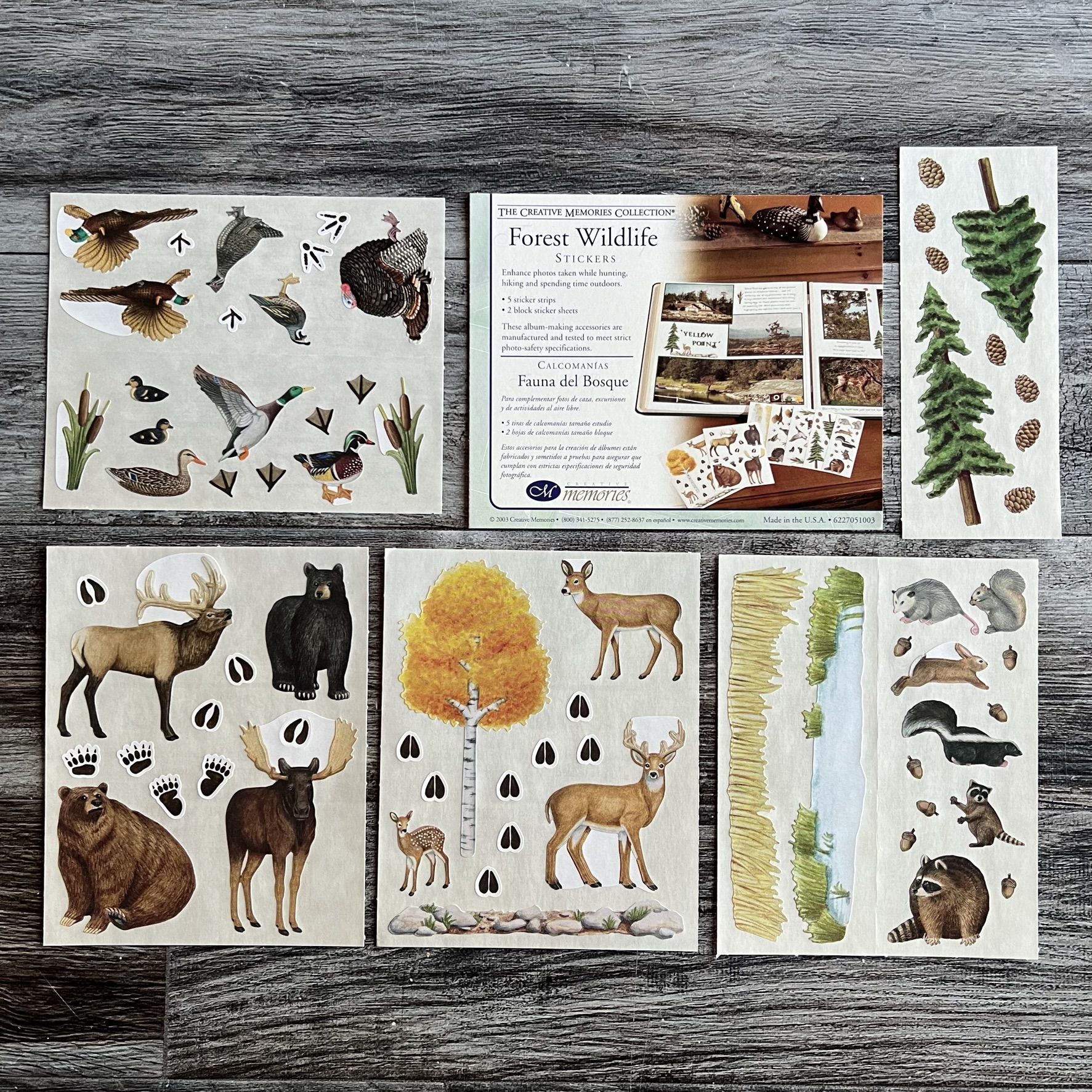 Forest Wildlife Stickers - Tessa Scrapbooks