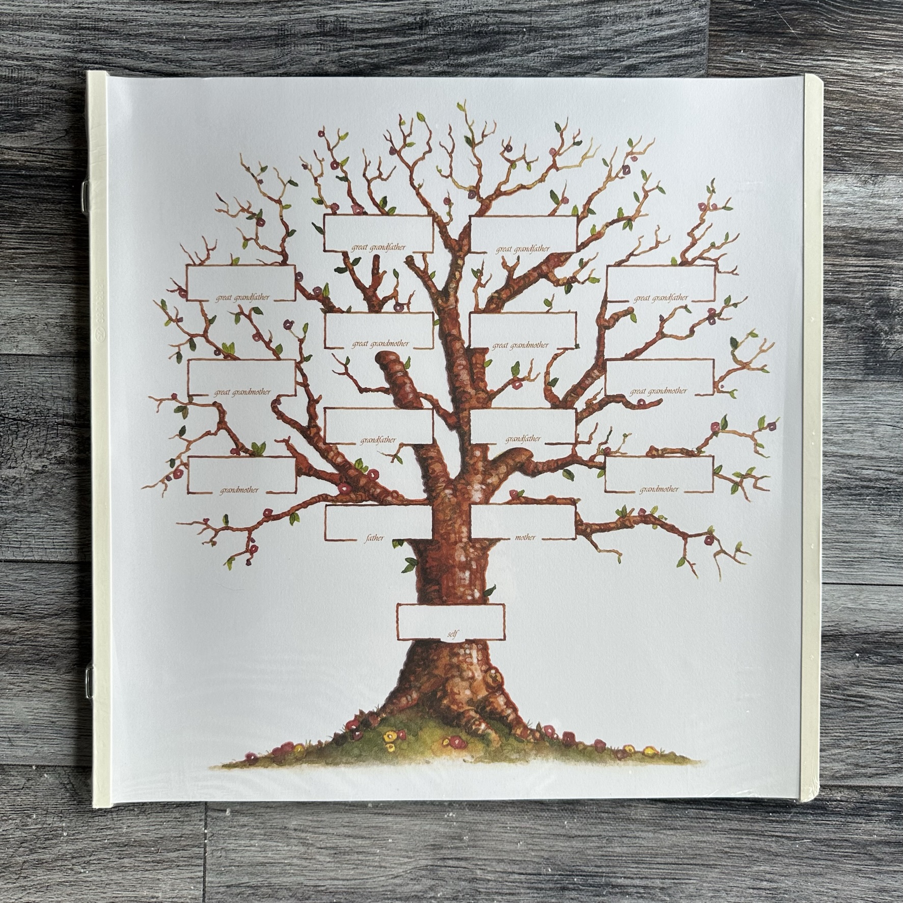 Original 12x12 Family Tree Family Chart Scrapbook Page SINGLE - Tessa ...