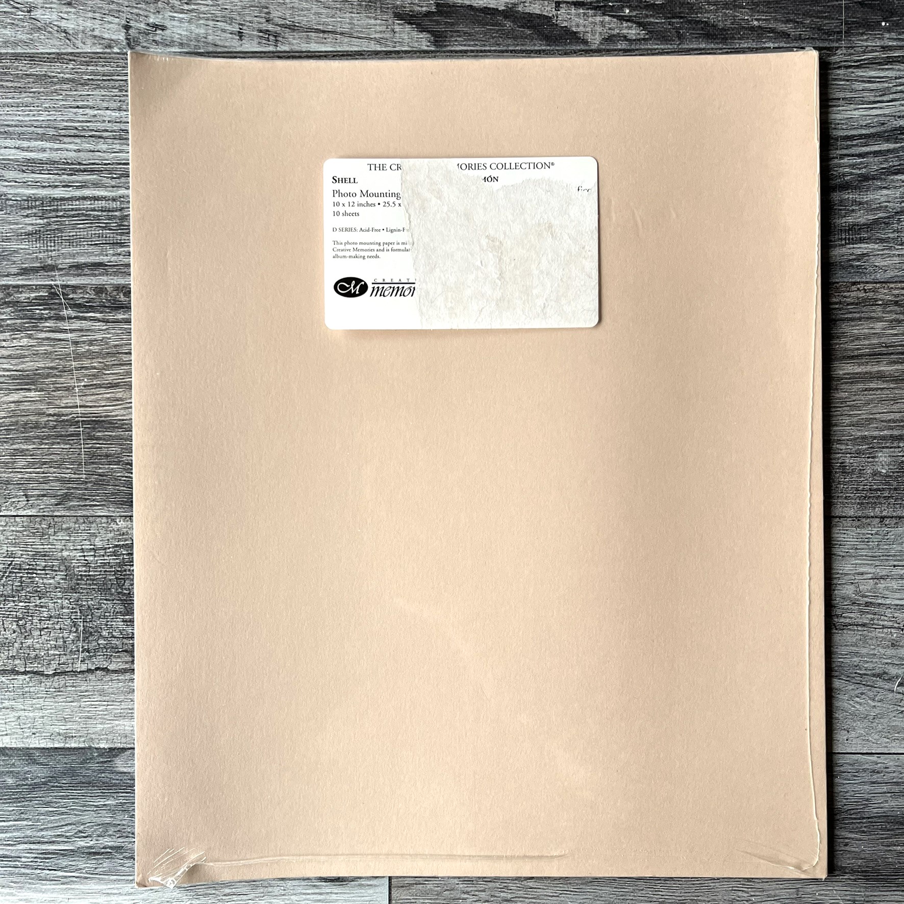 Shell 10X12 Cardstock - Tessa Scrapbooks