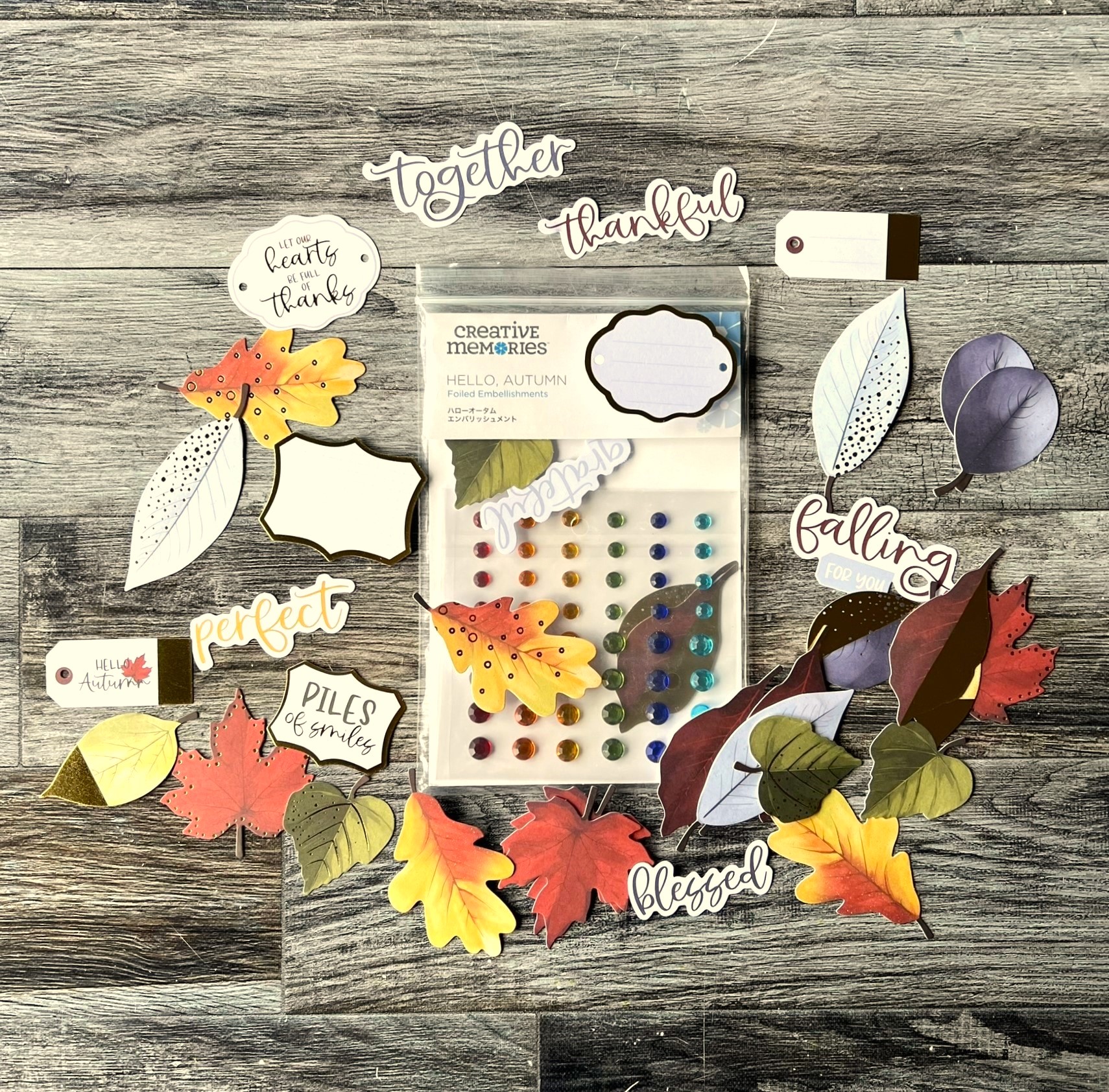 Hello, Autumn Foiled Embellishments - Tessa Scrapbooks