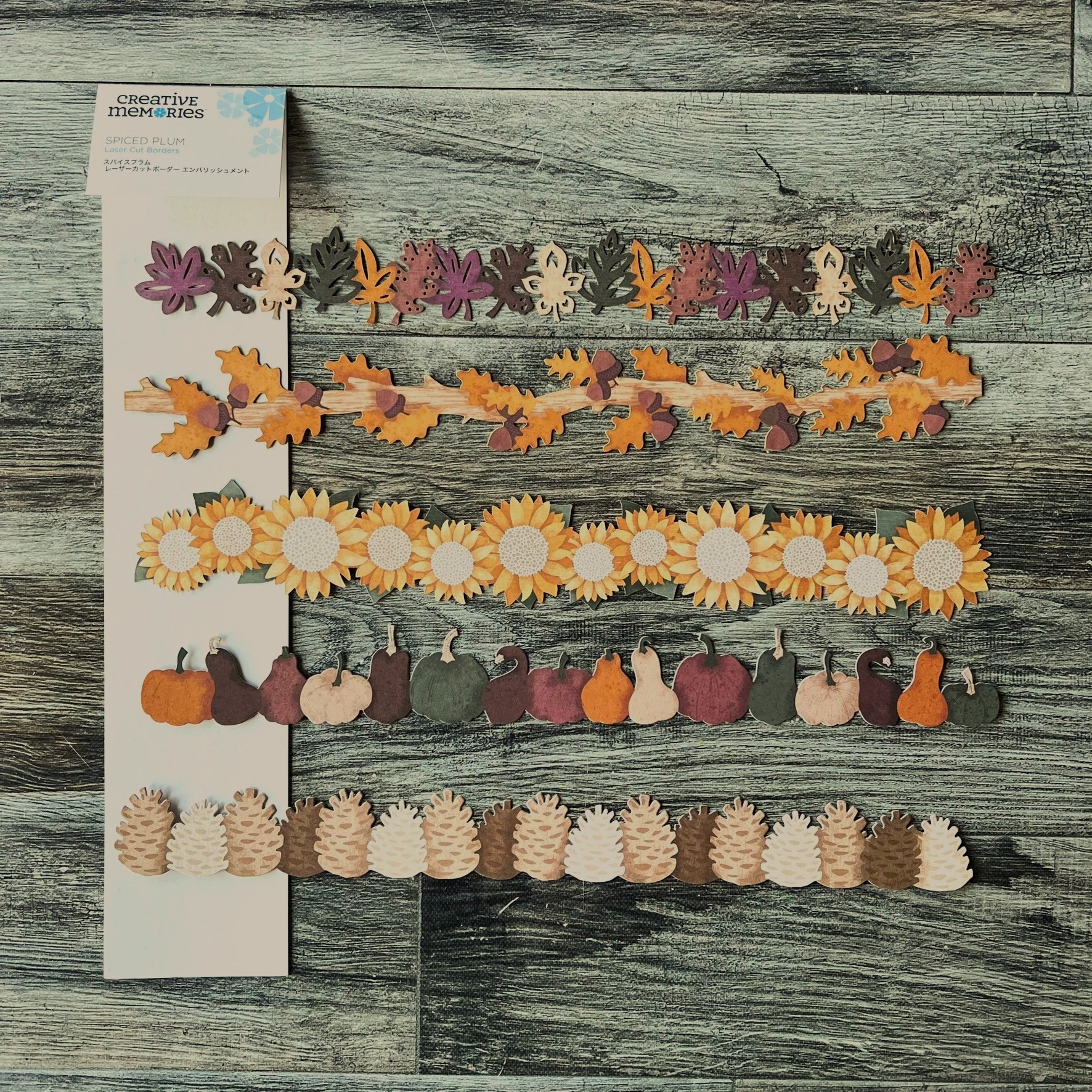 Spiced Plum Laser Cut Borders - Tessa Scrapbooks