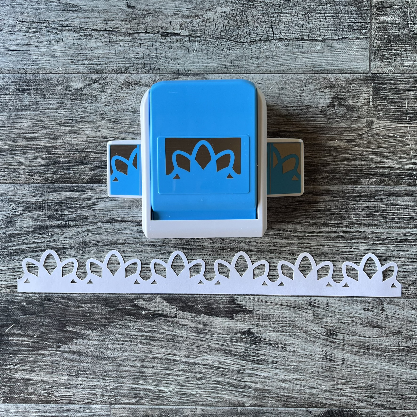 Petal Frame Decorative Border Punch - NEW - Tessa Scrapbooks