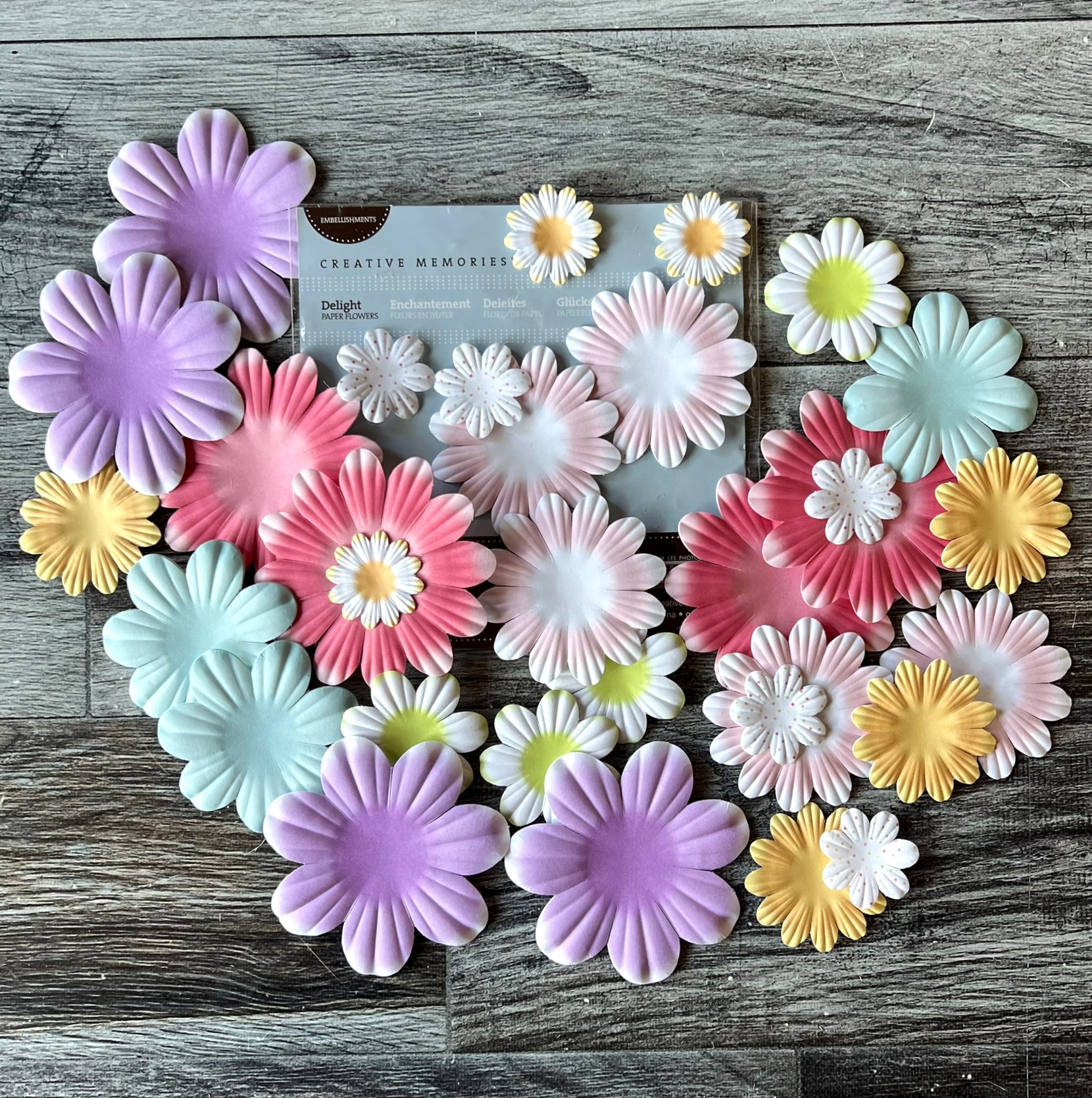 Delight Paper Flowers - Tessa Scrapbooks