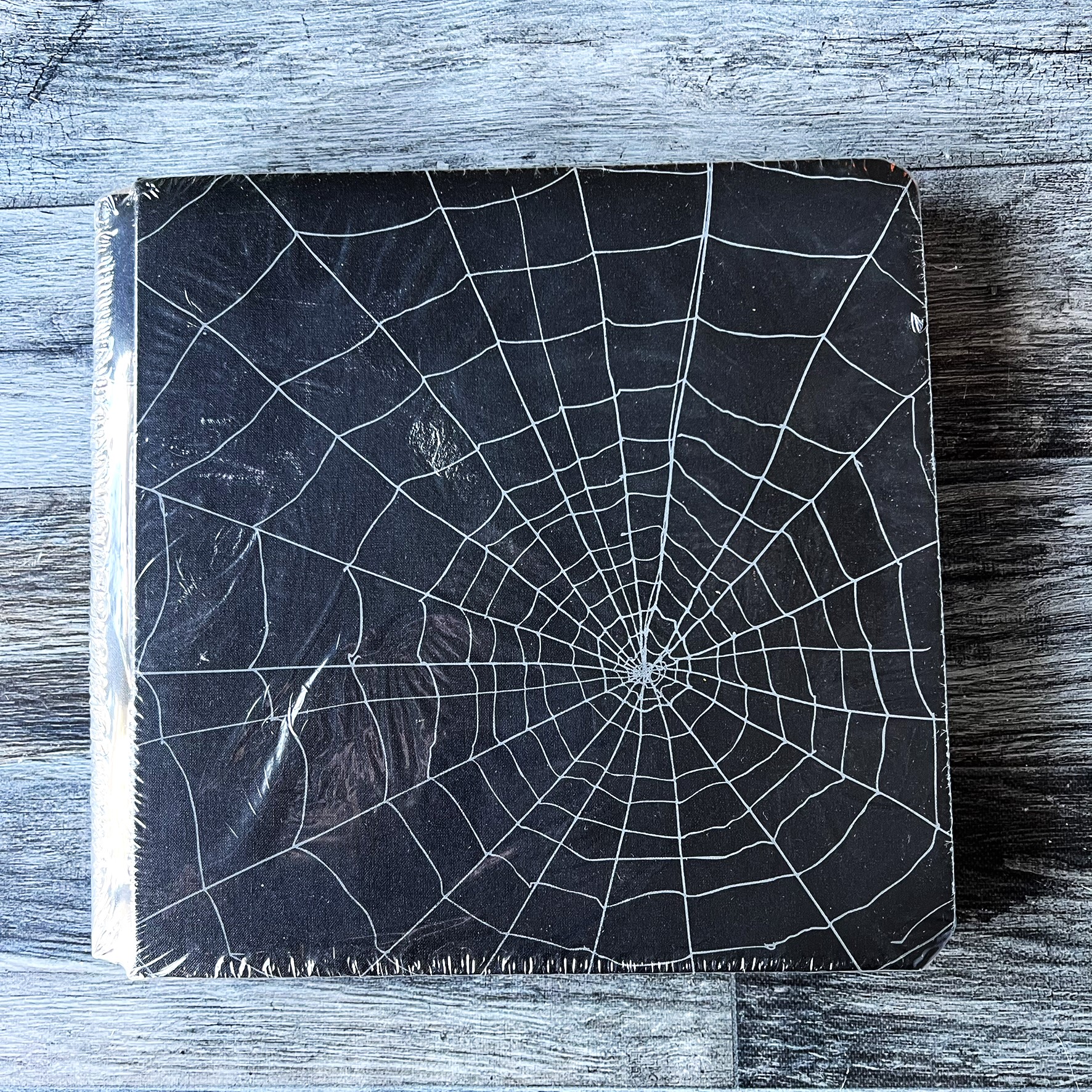 Spiderweb Black 8x8 Album Cover (OPEN PACKAGE) - Tessa Scrapbooks