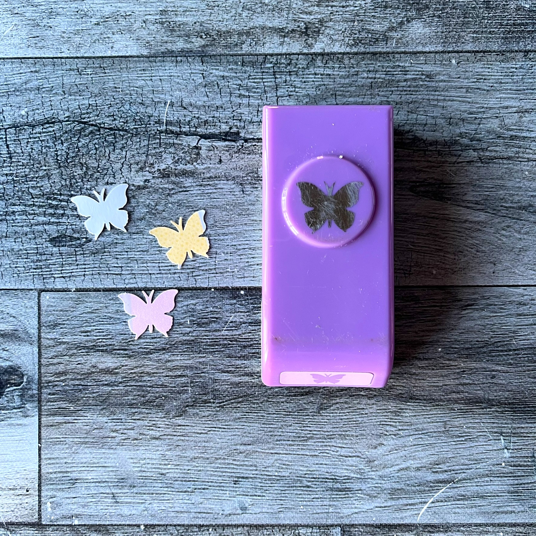 Butterfly Pocket Punch NEW - Tessa Scrapbooks