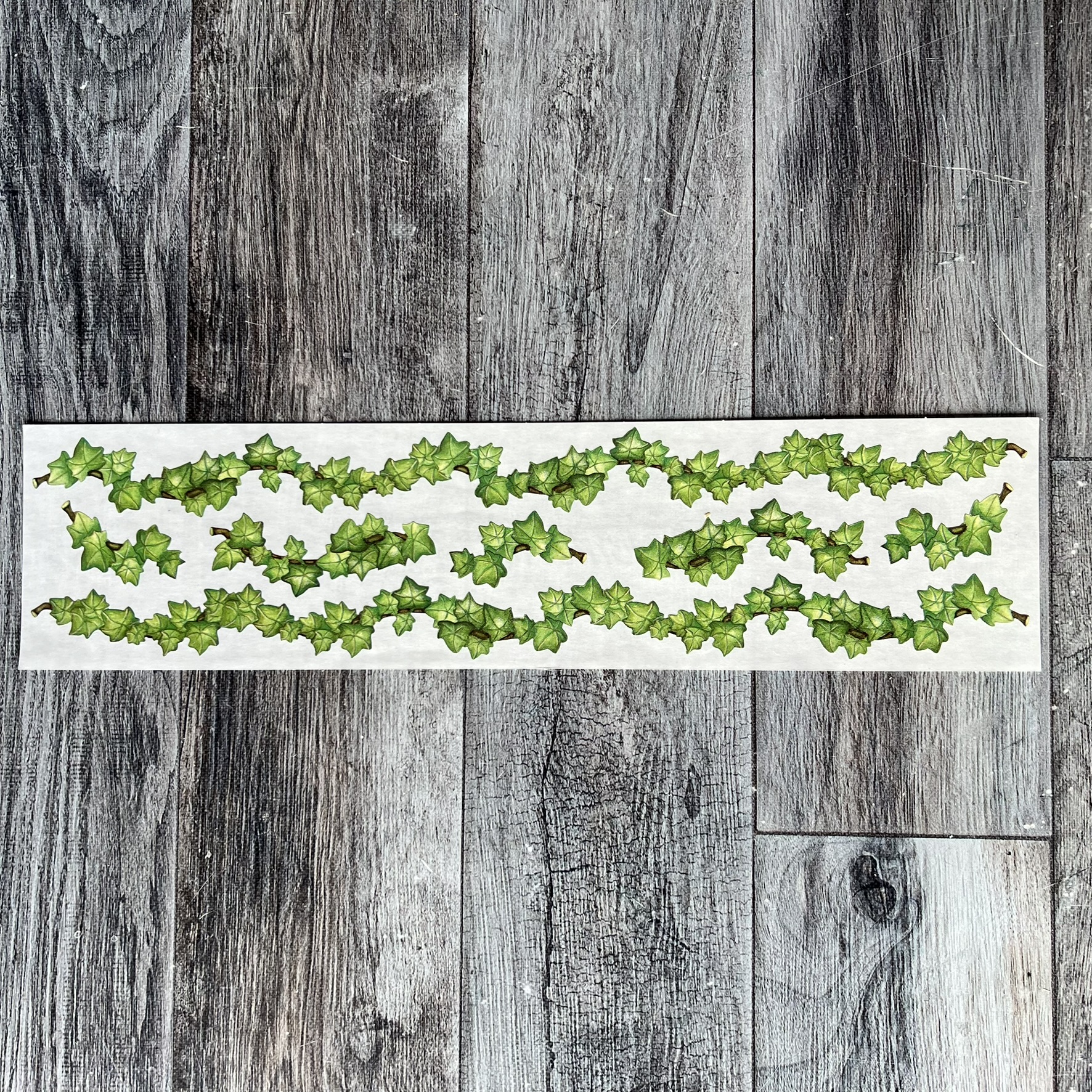 Ivy Vines Great Lengths Sticker Strip - Tessa Scrapbooks