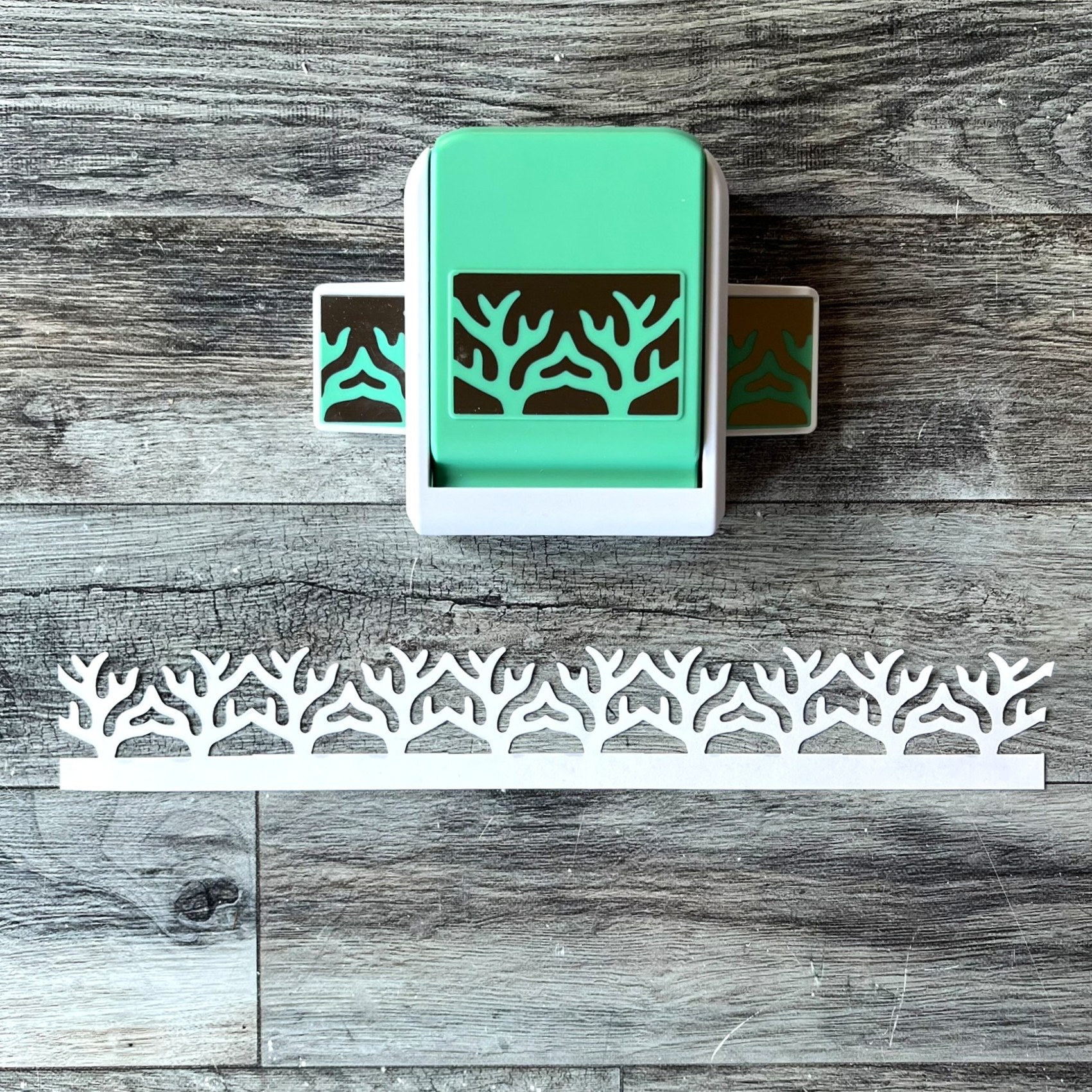 Coral Border Punch - Tessa Scrapbooks