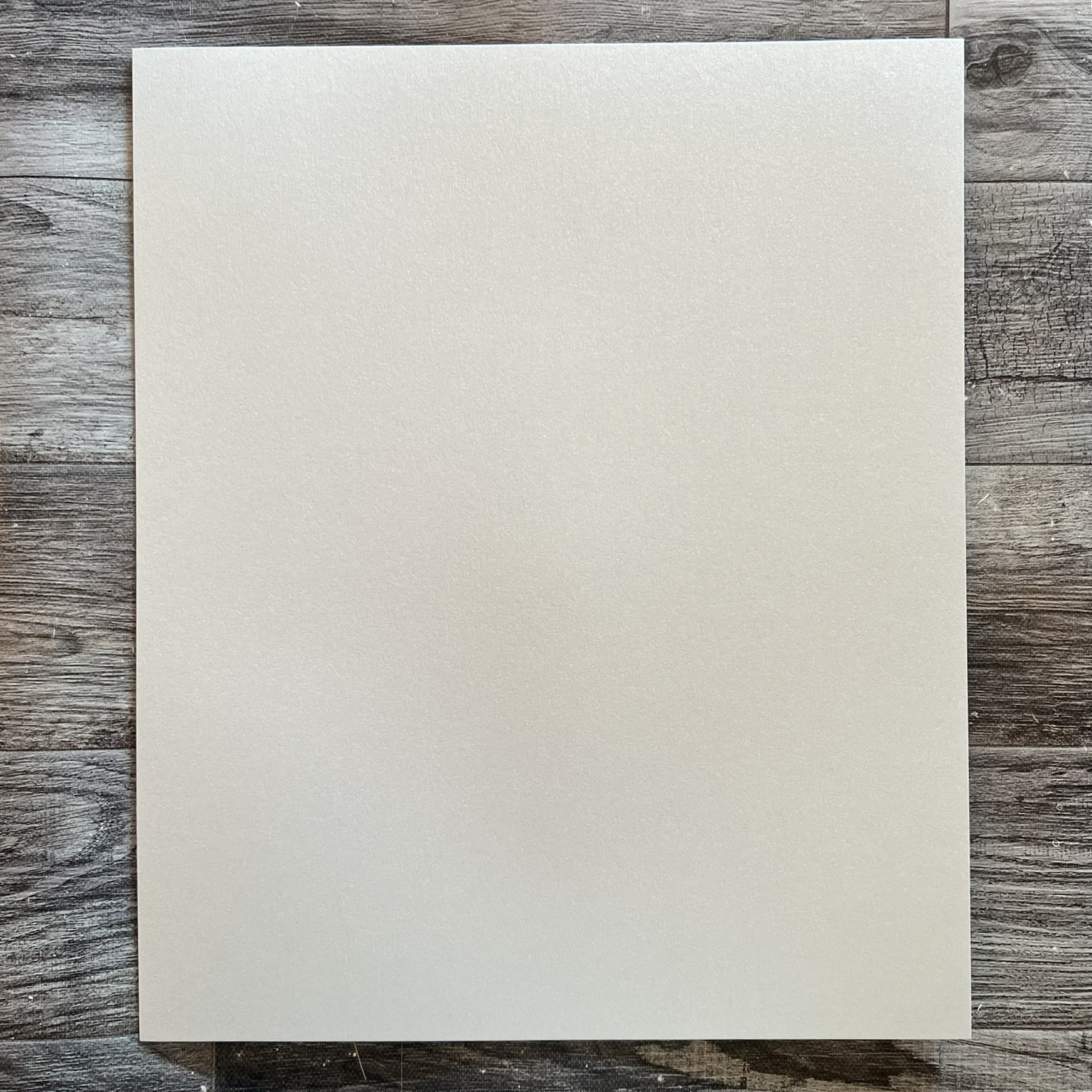10" x 12" Silver Shimmer Cardstock (5/pk) - Tessa Scrapbooks