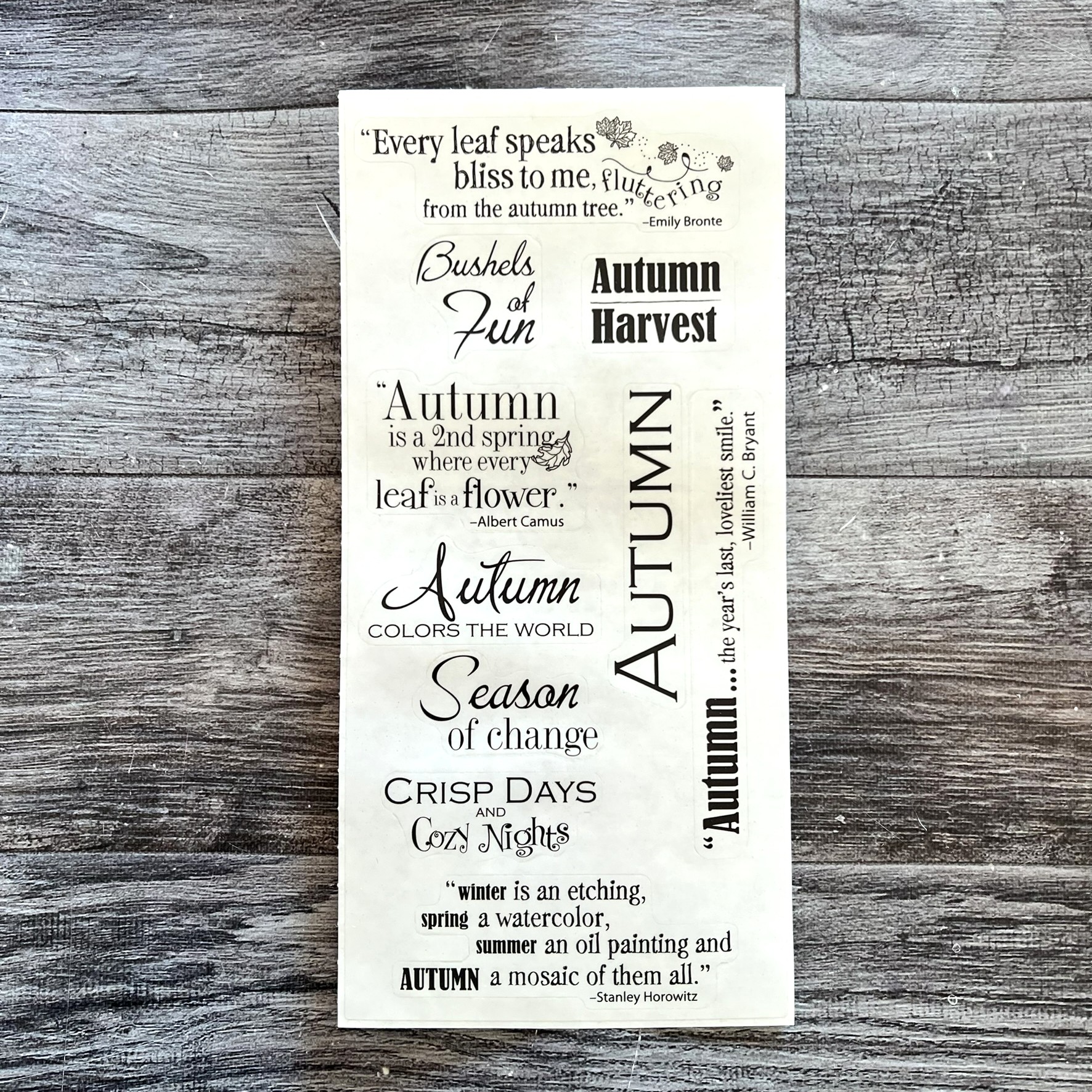 Autumn Titles Sticker Sheet - Tessa Scrapbooks